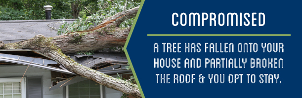 How to Work WIth Your Insurance Company After a Restoration or Disaster